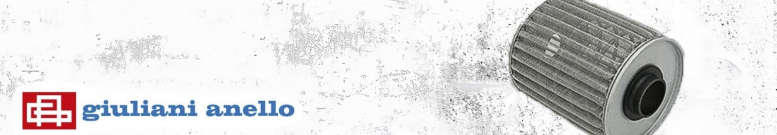 Giuliani Anello Filtres, jauges, indicateurs, buses et vannes | France